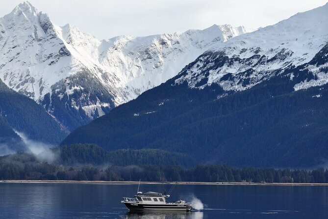 Premier Whale Watching and Wildlife Tour - Final Thoughts