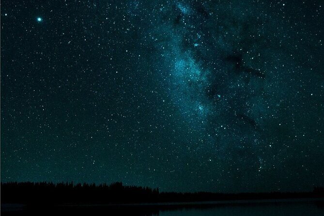 Premier Wildlife Tours in Saguaro National Park - Final Thoughts