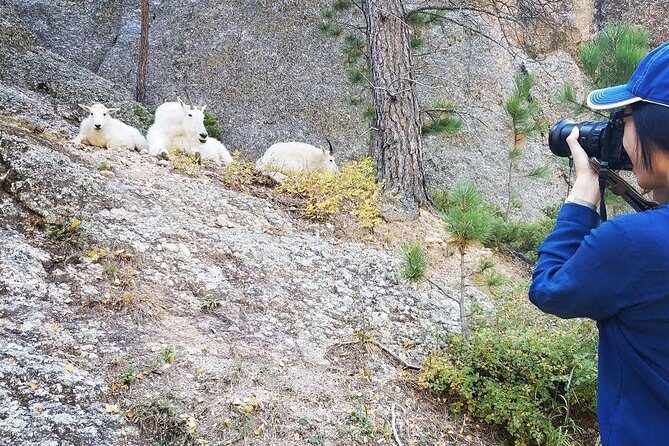 Premiere Private Black Hills Tour: Mt Rushmore, Crazy Horse & Custer State Park - Why this tour stands out