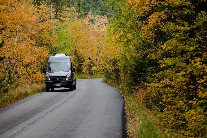Premiere Private Black Hills Tour: Mt Rushmore, Crazy Horse & Custer State Park - Authentic Experiences and Visitor Feedback