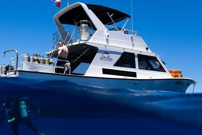 Premium Afternoon Scuba Charter for All Certified Diver Levels - Introduction: A Dive Beyond the Ordinary