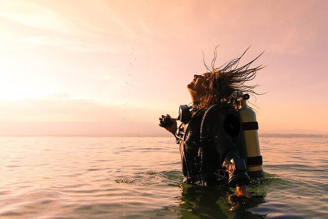 Premium Afternoon Scuba Charter for All Certified Diver Levels - Key Points