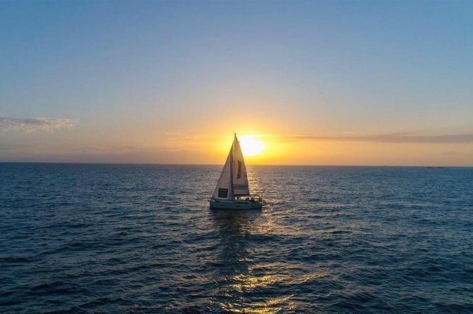 Premium All Inclusive Whale & Dolphin Watching Experience - Key Points