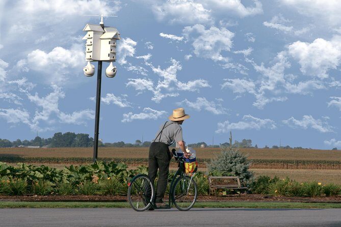 Premium Amish Country Tour including Amish Farm and House - Analyzing the Value