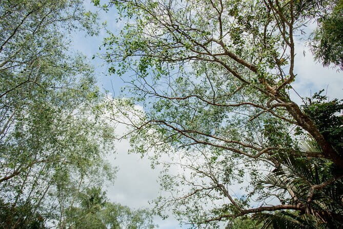 Premium Can Tho Small Canal Tour in Mekong Delta - Why This Tour Excels