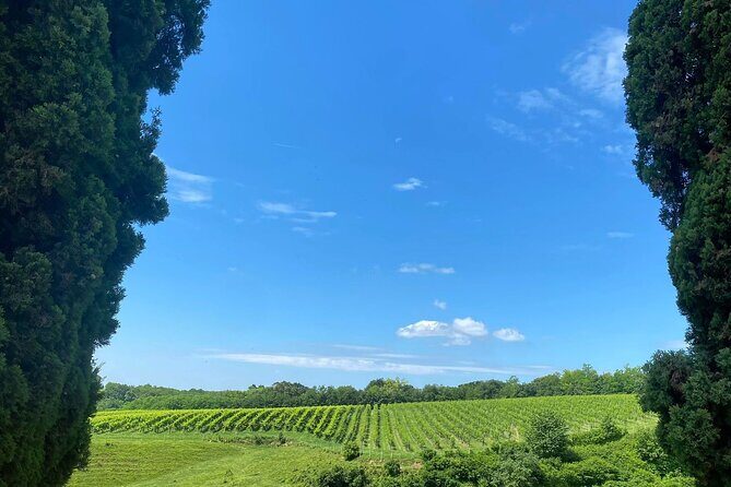 Premium Cheeses and Gins Tour in the Prosecco hills. Full lunch! - What Makes This Tour Stand Out?