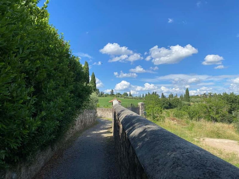 Premium Chianti E-Bike Tour, Food Wine Tasting + Photo shoot - Key Points
