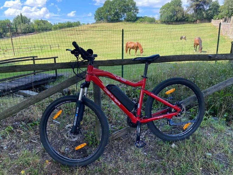 Premium Chianti E-Bike Tour, Food Wine Tasting + Photo shoot - Pricing and Value