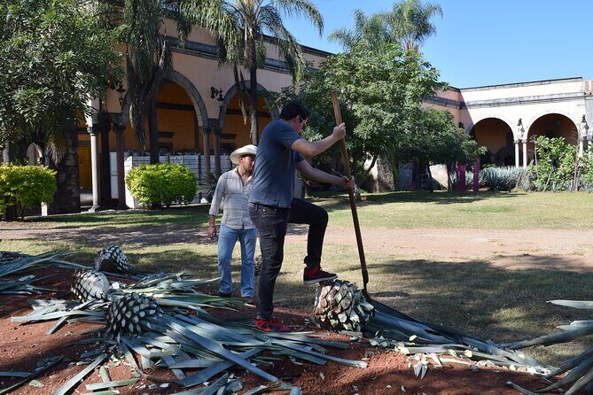 Premium Classic Tequila Experience in Cava de Oro - A Closer Look at the Experience