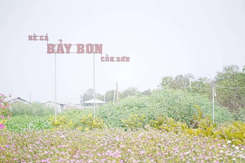 Premium Con Son Islet tour  Explore The Precious Gem - The Itinerary in Detail