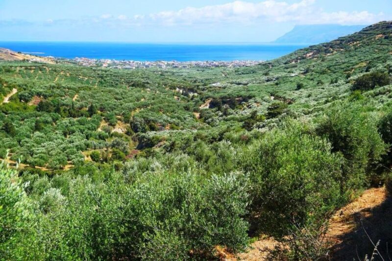 Premium Crete Olive oil tasting, Wine, Raki and Cretan food! - FAQs