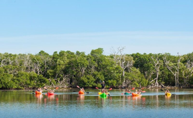 Premium Day Sail, Snorkel &, Kayak with Lunch - Island or Sandbar Stop: Connecting with Nature