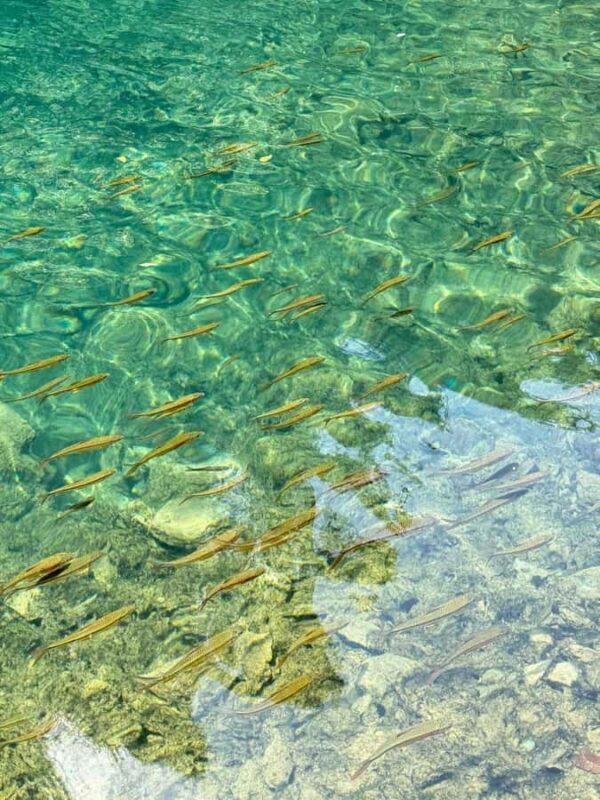 Premium Day Trip to Xiaoqikong - Authentic Experiences & Reviews