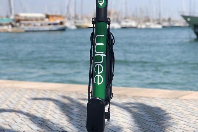 Premium electric Scooter rental with optional delivery - Who Will Love This Experience?