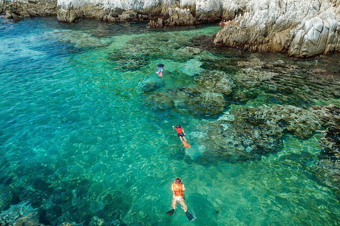 Premium Family Snorkeling Experience - The Experience Breakdown: What to Expect from Start to Finish