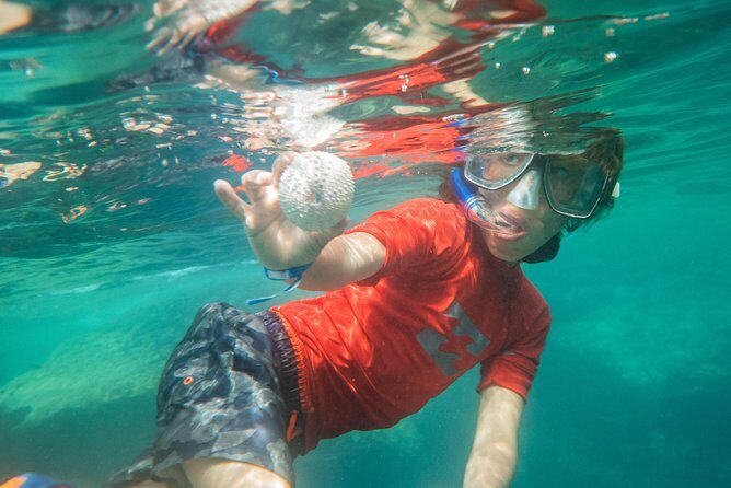 Premium Family Snorkeling Experience - Who Is This Tour Best For?
