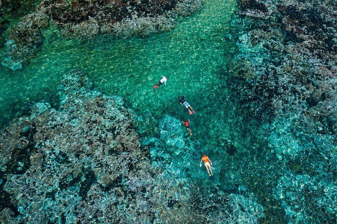 Premium Family Snorkeling Experience - FAQs
