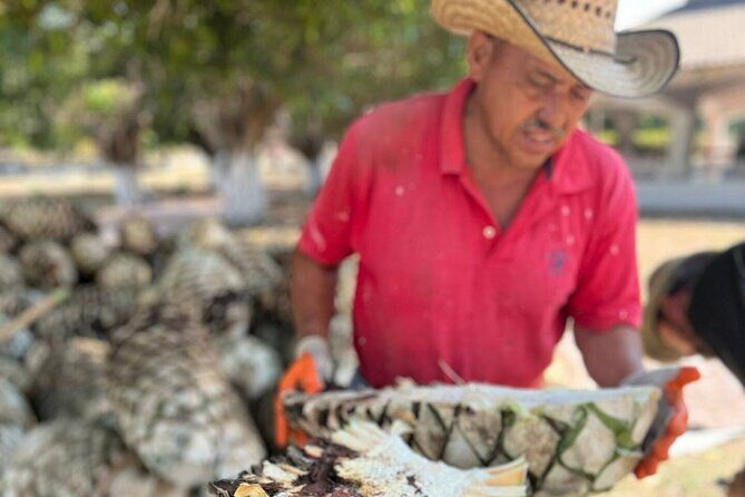 Premium Finca 18 Tequila Tour & Chocolate Pairing + Pickup Points - Introduction: What Makes This Tour Special?