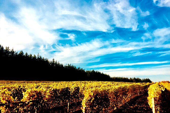 Premium Fraser Valley and White Rock Private Wine Tour - Introduction