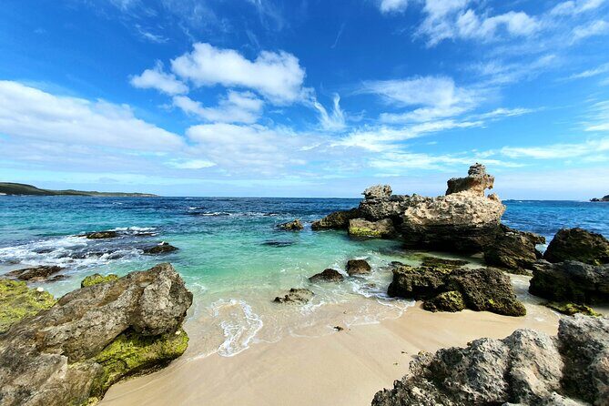 Premium Full Day Tour - A Well-Curated Day of Wine, Food, and Authenticity in Margaret River