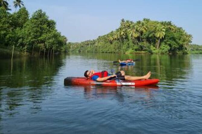 Premium Guided Kayak Tours in the Pristine River Chapora. - What to Expect from the Kayak Tour in Goas River Chapora