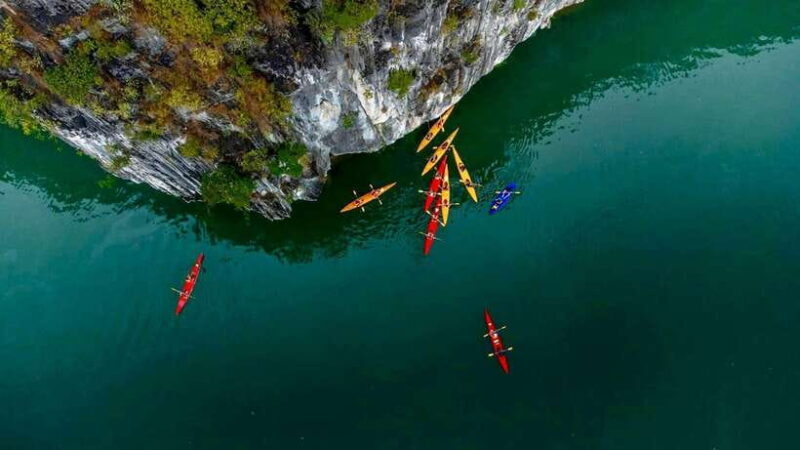 Premium Halong Day Cruise with Buffet Lunch, Cave & Island - Key Points: