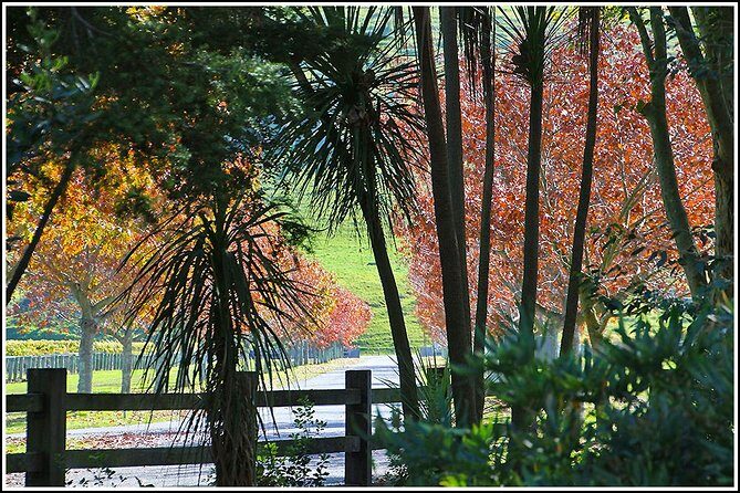 Premium-Hawke's Bay, Napier Winery Tour - 5.5 hours - Practical Details that Matter