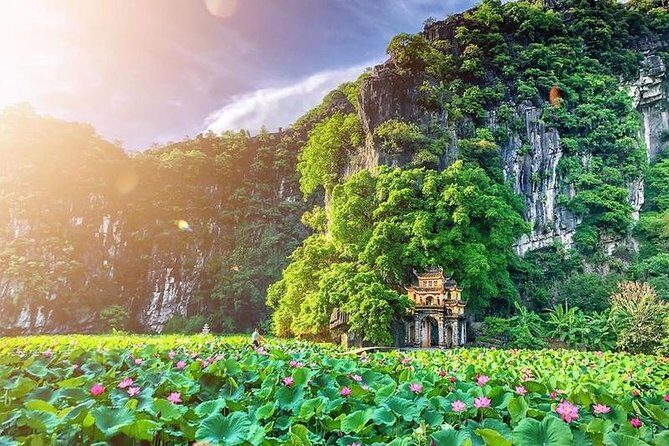 Premium Hoa lu - Trang An - Mua Cave with Buffet Lunch from Hanoi - Who Will Love This Tour?