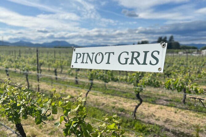 Premium Hood River Wine Tours - Why Choose This Tour?