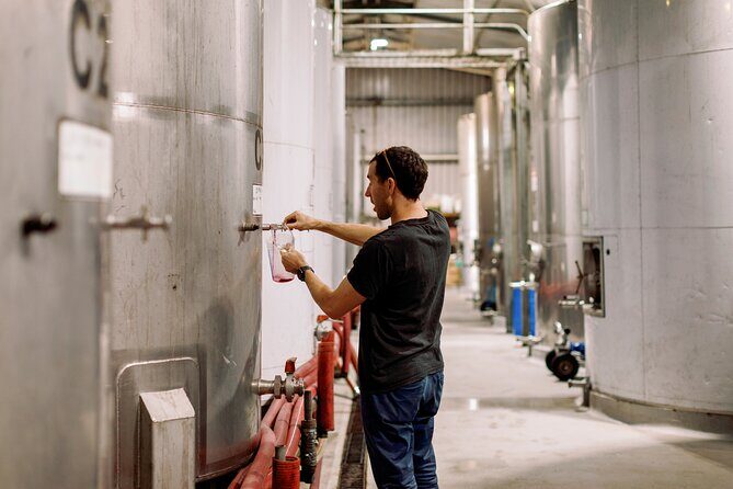Premium Hunter Wine Tour with Degustation Lunch and Paired Wines - Exploring the Hunter Valley’s Hidden Side