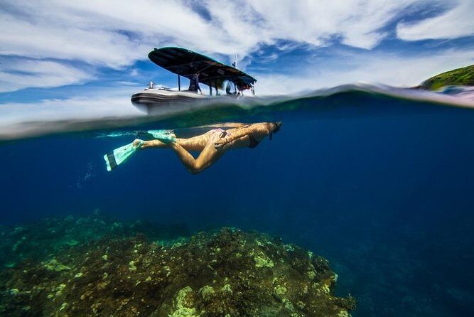 Premium Kona Coast Morning Snorkel - Pricing and Value: Whats Included?
