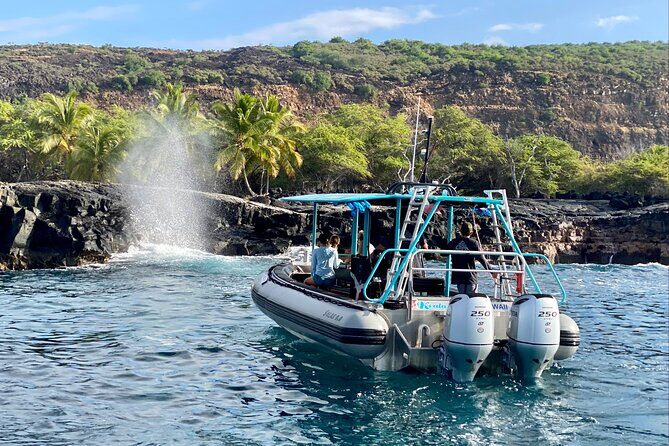 Premium Kona Coast Morning Snorkel - Who Is This Tour Best For?