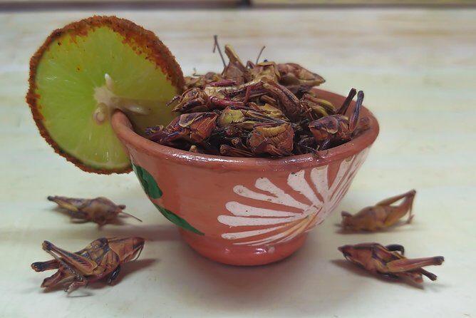 Premium Mezcal Tasting and Class - Introduction to the Experience