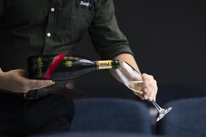Premium Milford Sound Cruise Including Lunch - Practical Details: What Travelers Need to Know