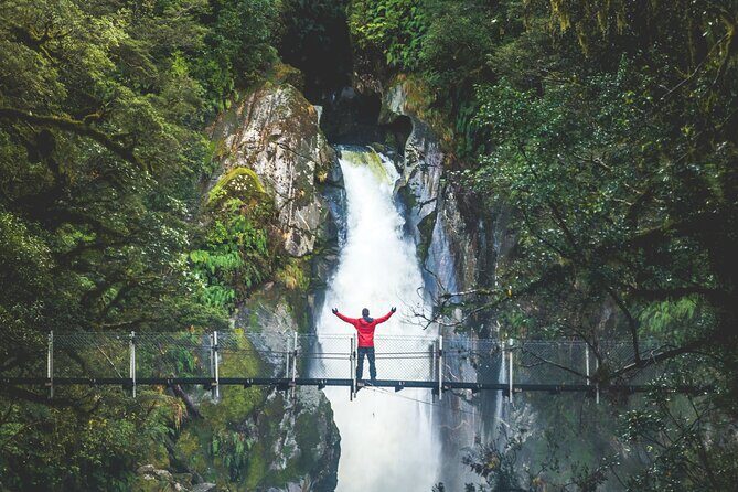 Premium Milford Sound Cruise & Milford Track Walk From Te Anau - Key Points