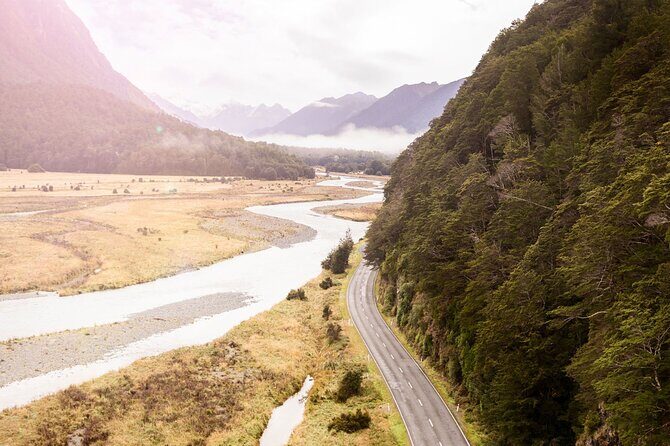 Premium Milford Sound Cruise & Milford Track Walk From Te Anau - The Value of the Tour