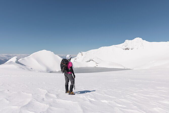 Premium Mt Ruapehu Summit Plateau Guided Group Hike - What to Expect from the Experience