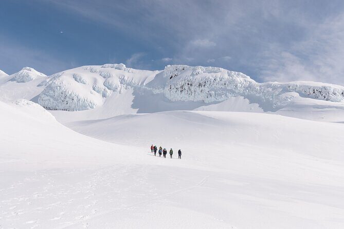 Premium Mt Ruapehu Summit Plateau Guided Group Hike - The Sum Up