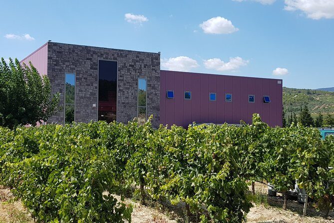 Premium Nemea Wine Tour from Athens, Nafplio or Nemea, with Oenologists - Who Would Best Appreciate This Experience?