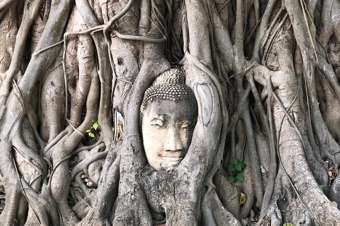 Premium Night Private Tuk Tuk Tour at Bangkok with Meal - FAQs