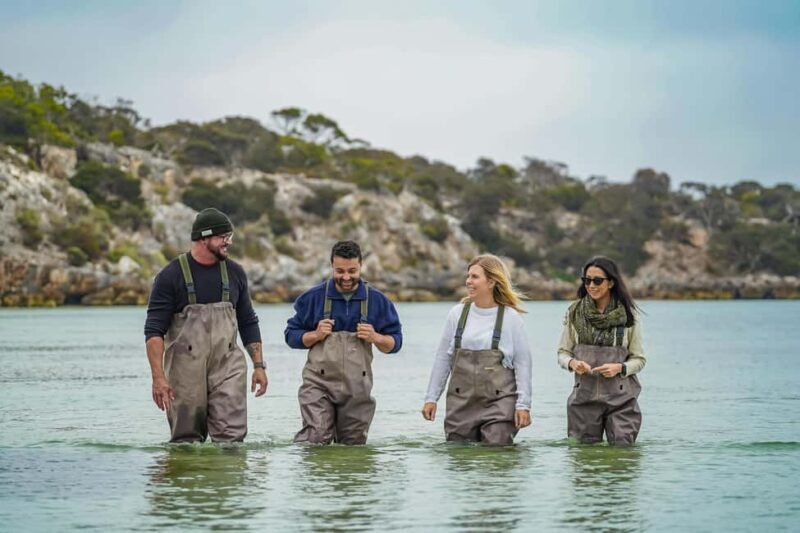 Premium Oyster Season Winter Tour Inc Wading & 12x Oysters - Authenticity and Quality