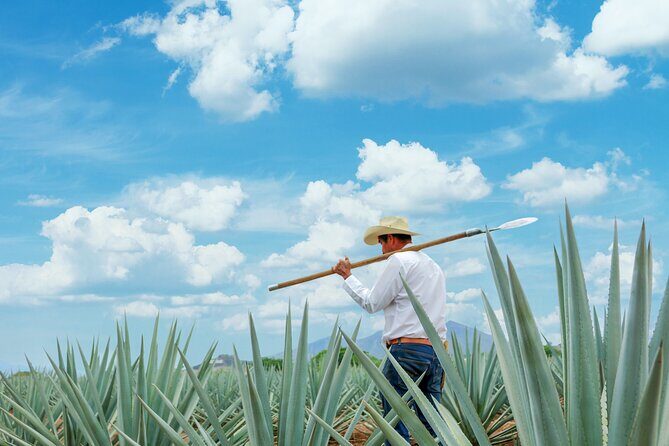 Premium Plus Sunrise - Mexican Show at Jose Cuervo Forum