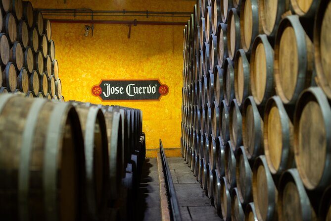 Premium Plus Sunrise - Experiencing the Jimado Tradition