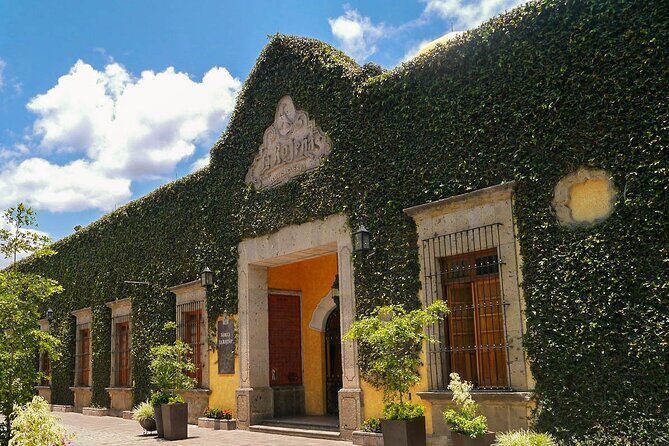 Premium Plus Sunset - Who Should Consider This Tour?