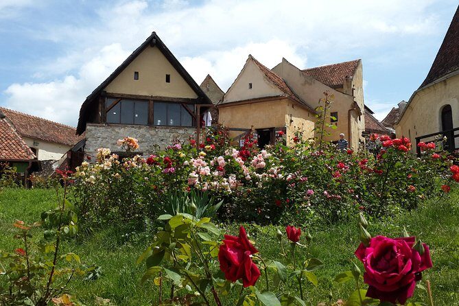 Premium Private 3-Day Best of Transylvania Tour Bucharest Hotel Pick Up/Drop Off - FAQ
