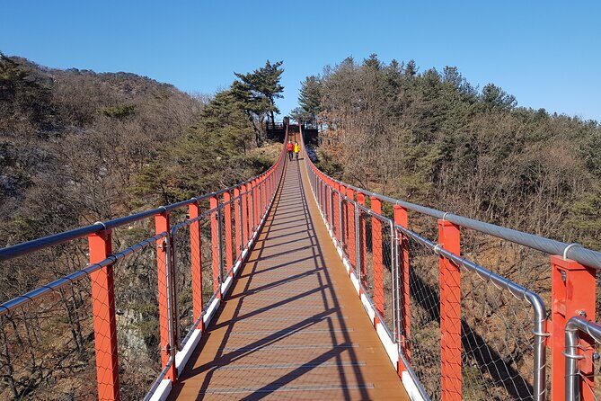 Premium Private DMZ Tour & (Suspension Bridge or N-Tower) include lunch - The Optional: N-Seoul Tower or Gamaksan Suspension Bridge