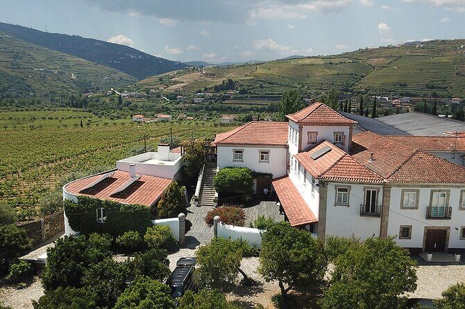 Premium Private Douro Tour: 2 Wineries with Tastings & Cruise - The Itinerary: A Day in the Douro Valley