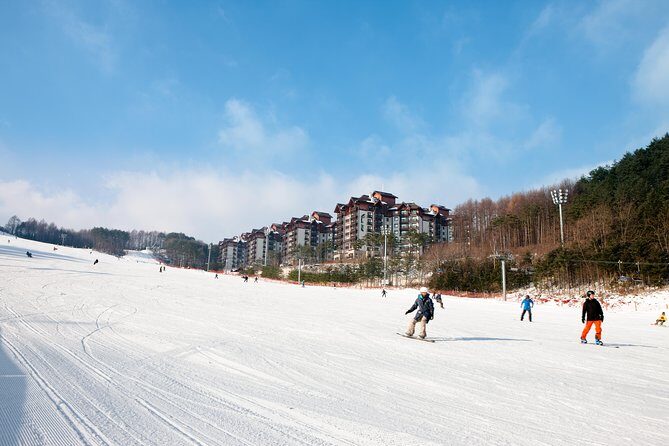 [Premium Private Ski Tour] Pyeongchang Olympic Site (Private Ski Lesson) - Who Should Consider This Tour?