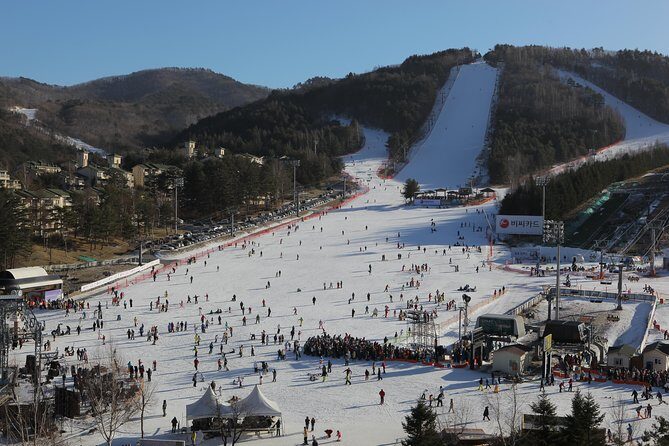 [Premium Private Ski Tour] Pyeongchang Olympic Site (Private Ski Lesson) - Final Thoughts
