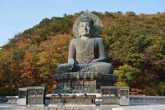 [Premium Private Tour] Mt Seorak & East Sea or Nami island from Seoul - Why Choose This Tour?